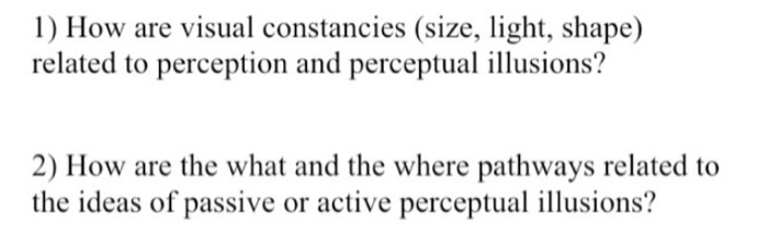Solved 1) How are visual constancies (size, light, shape) | Chegg.com