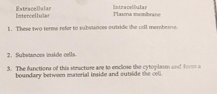 Solved Extracellular Intercellular Intracellular Plasma | Chegg.com