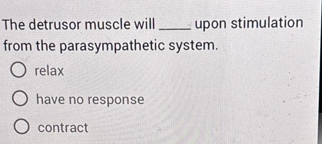 Solved The detrusor muscle will upon stimulation from the | Chegg.com