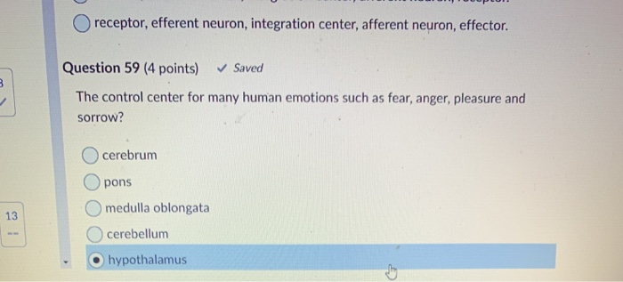 Solved receptor, efferent neuron, integration center, | Chegg.com
