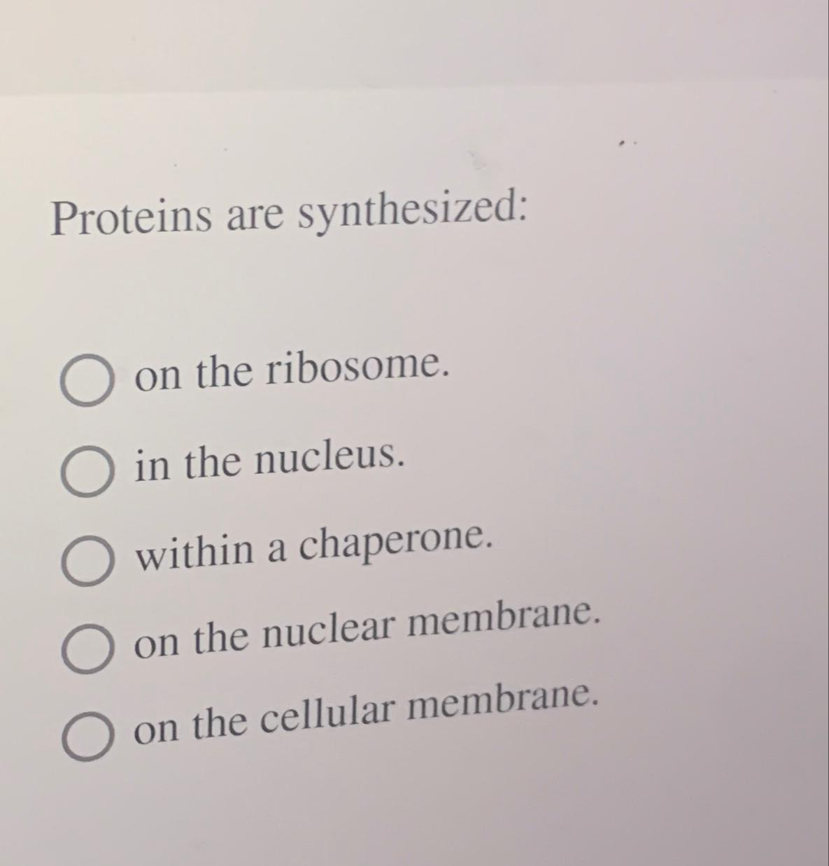 Solved Proteins are synthesized:on the ribosome.in the | Chegg.com