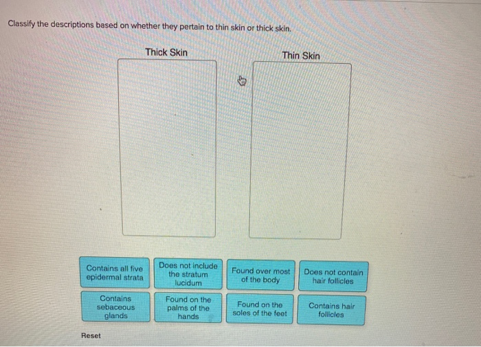 Solved Classify the descriptions based on whether they | Chegg.com