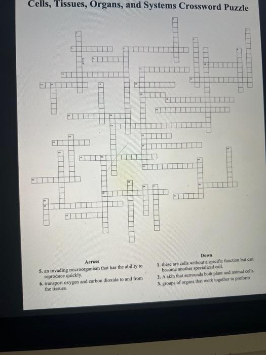 Solved Cells, Tissues, Organs, and Systems Crossword Puzzle | Chegg.com