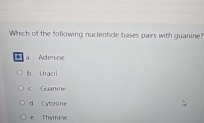 Solved Which of the following nucleotide bases pairs with | Chegg.com