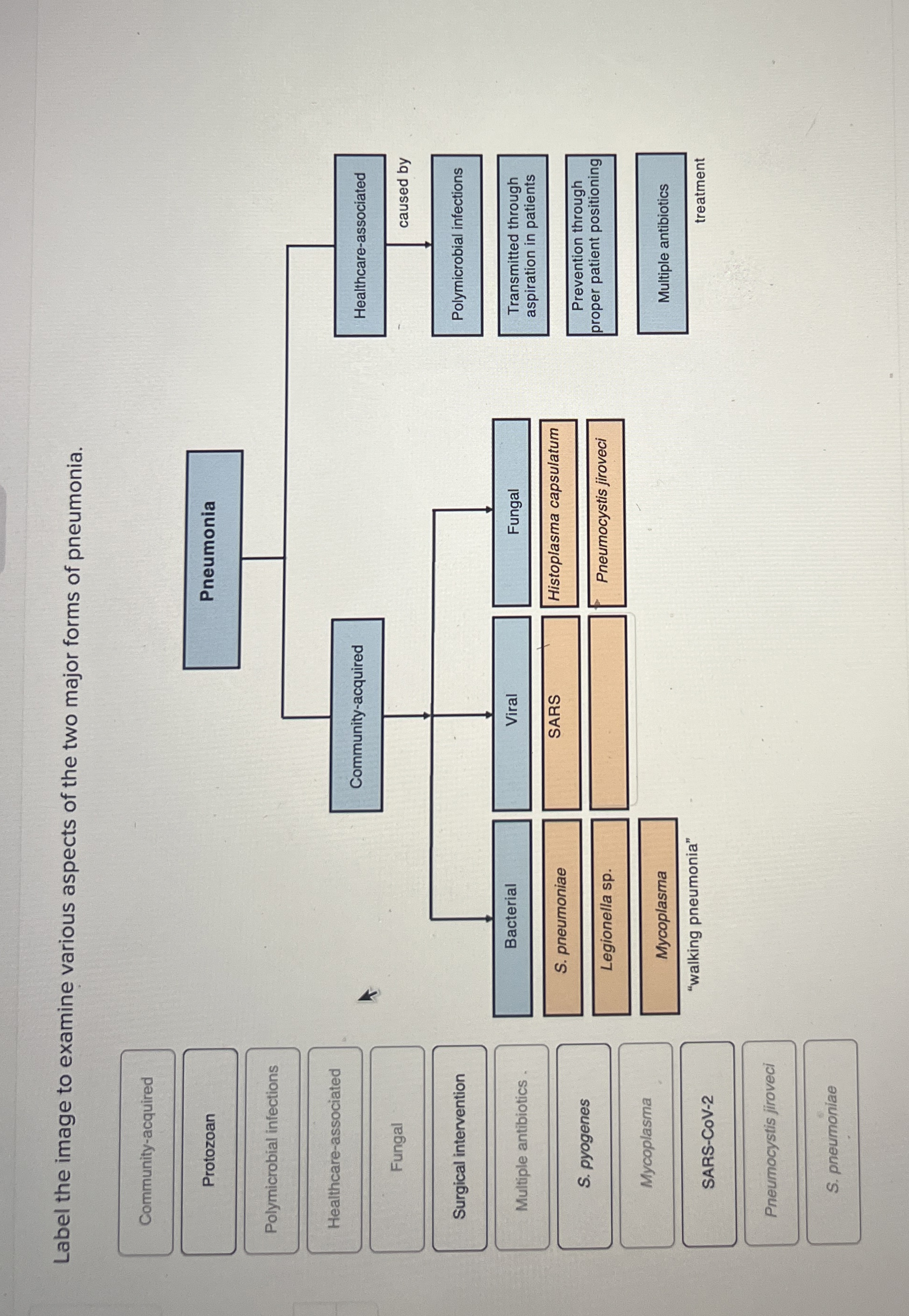 Solved label the image to examine various aspects of the two | Chegg.com