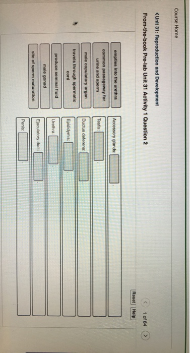 Solved Course Home | Chegg.com