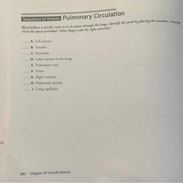 solved-sequence-of-events-pulmonary-circulation-blood-chegg