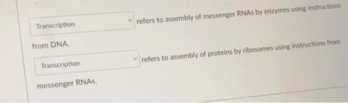 Solved refers to assembly of messenger RNAs by enzymes using | Chegg.com