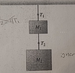 Solved In the figure below two masses M1 ﻿and M2 ﻿hang with | Chegg.com