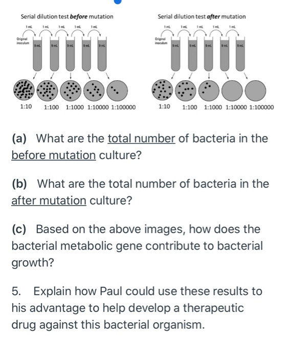Solved Serial dilution test before mutation Serial dilution | Chegg.com