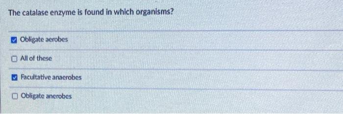 Solved The catalase enzyme is found in which organisms? | Chegg.com