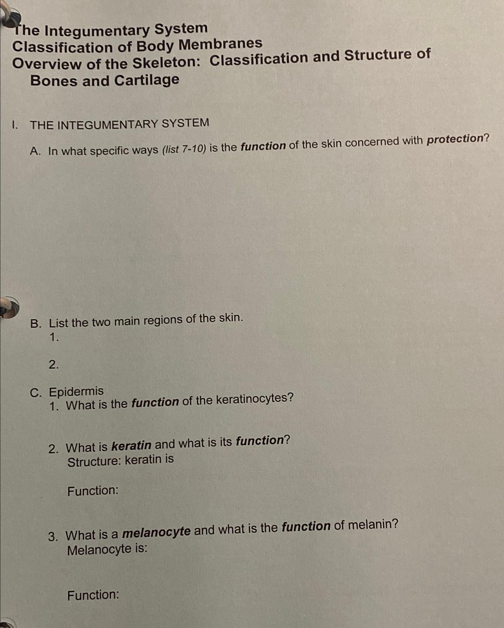 Solved The Integumentary SystemClassification of Body | Chegg.com