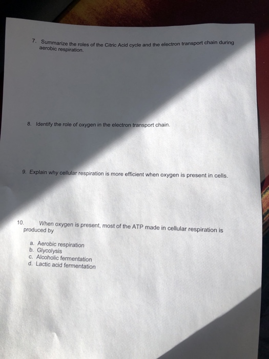 Solved Name Cellular Respiration Homework 1. How are the | Chegg.com