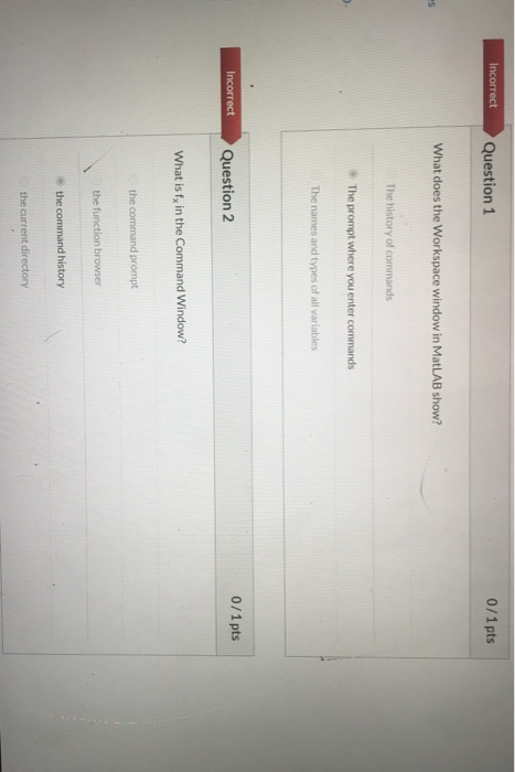 Solved Incorrect Question 1 0/1 pts What does the Workspace | Chegg.com