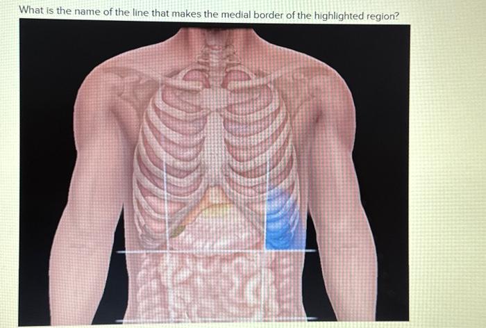 Solved Correnti.taL-i..... What is the name of the line | Chegg.com