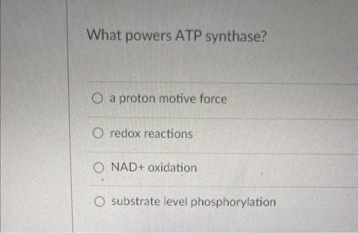 Solved What powers ATP synthase? a proton motive force redox | Chegg.com