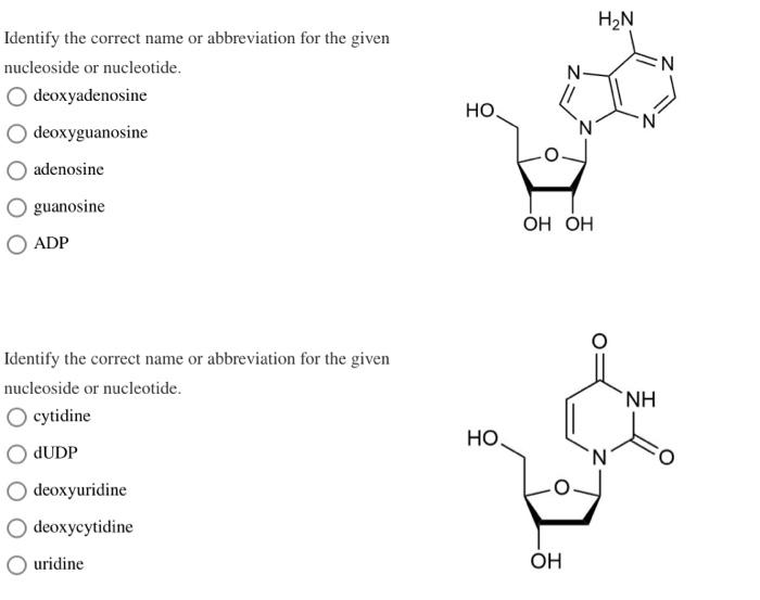 Solved Identify the correct name or abbreviation for the | Chegg.com