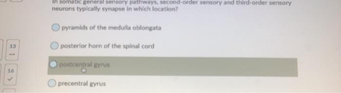 Solved In somatic general sensory pathways second-order | Chegg.com