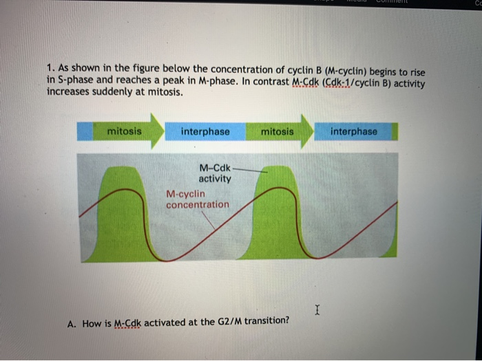 Solved Co 1. As shown in the figure below the concentration | Chegg.com