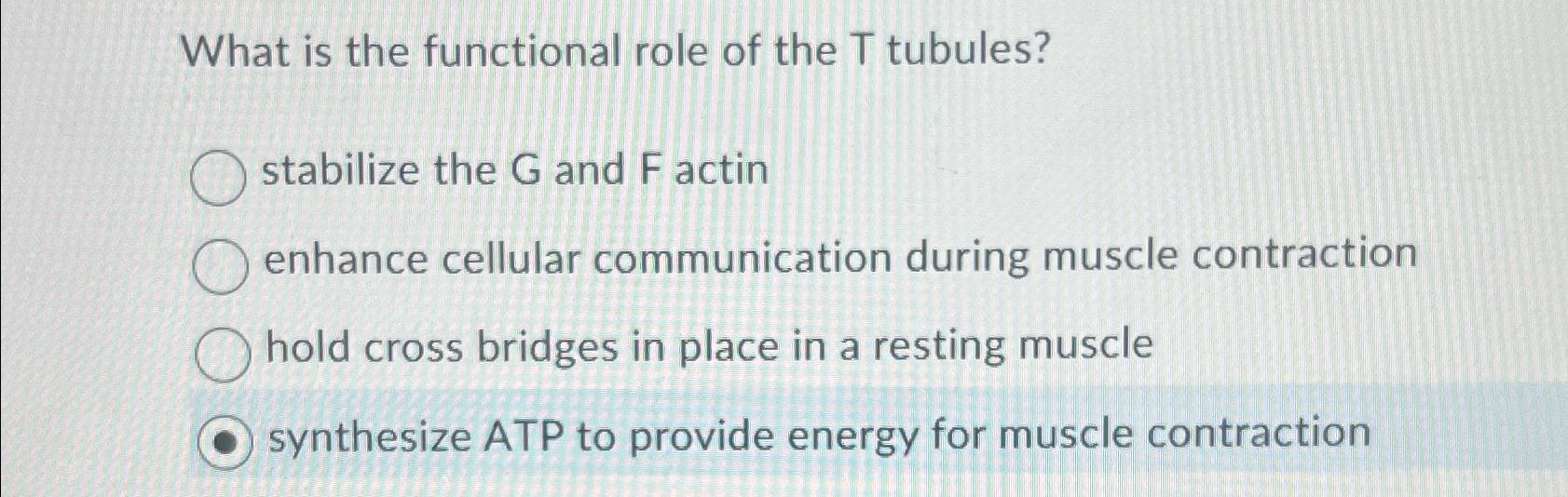 Solved What is the functional role of the T | Chegg.com
