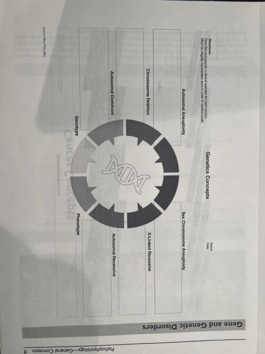 Solved Directions: Deseribo and provide a cincol enary fe | Chegg.com