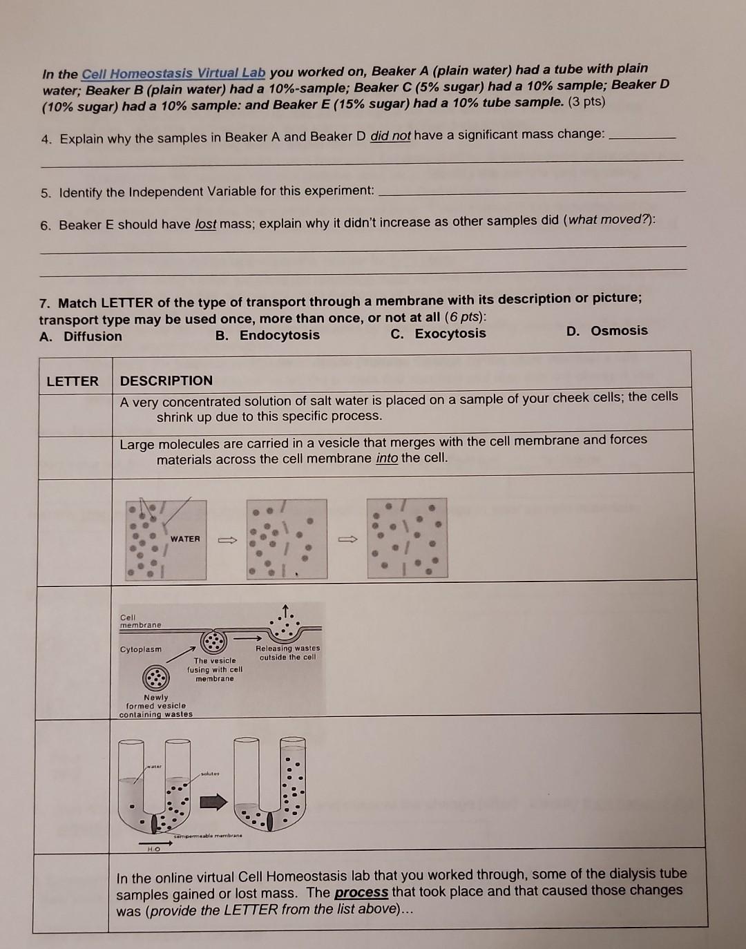 NAME: Biology 10: Movement Across a Cell Membrane | Chegg.com
