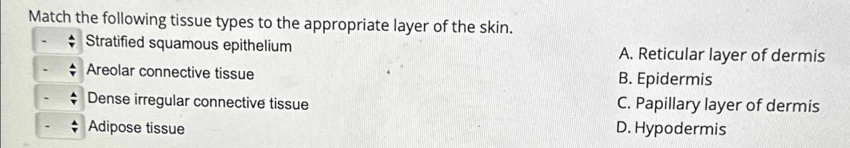 Solved Match the following tissue types to the appropriate | Chegg.com