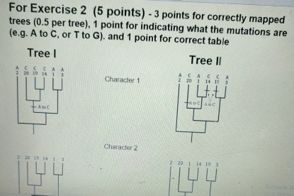 Solved For Exercise 2 ( 5 ﻿points) - 3 ﻿points for correctly | Chegg.com