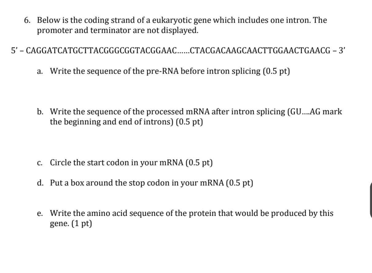 [Solved]: 6. Below is the coding strand of a eukar