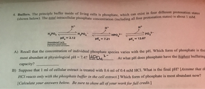 Solved 4. Buffers. The principle buffer inside of living | Chegg.com