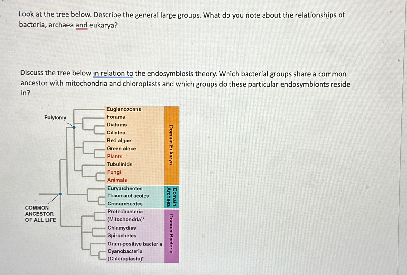 Solved Look at the tree below. Describe the general large | Chegg.com