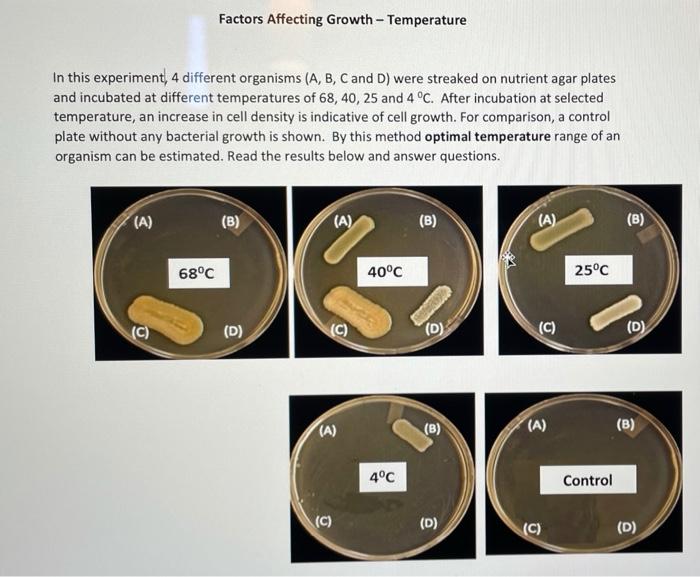 Solved Factors Affecting Growth - Temperature In this | Chegg.com