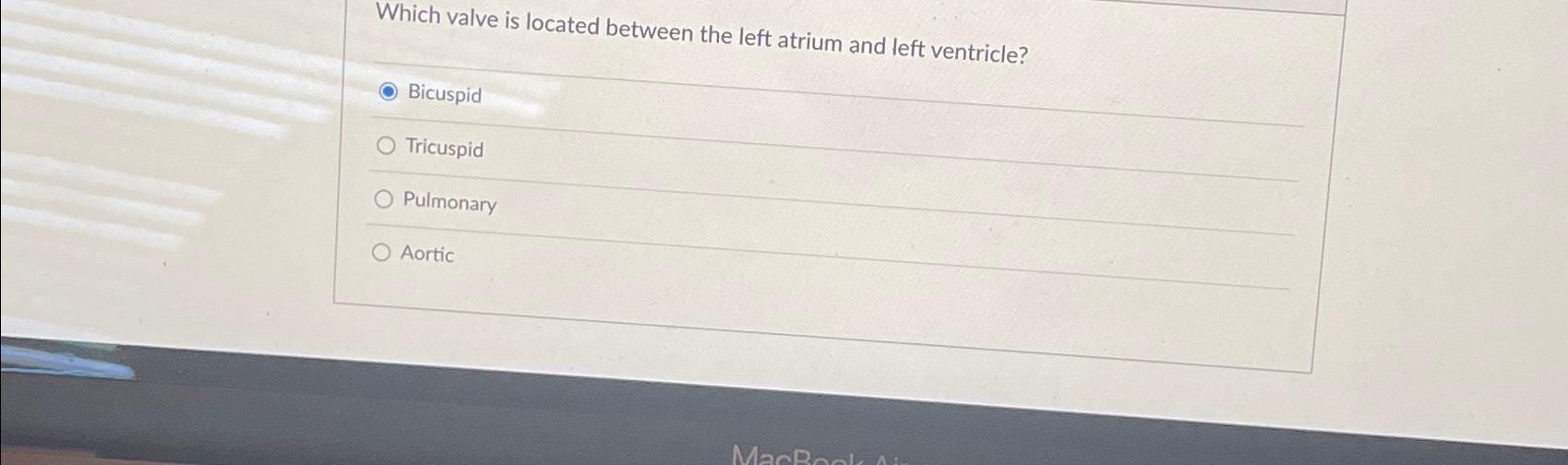 Solved Which valve is located between the left atrium and | Chegg.com