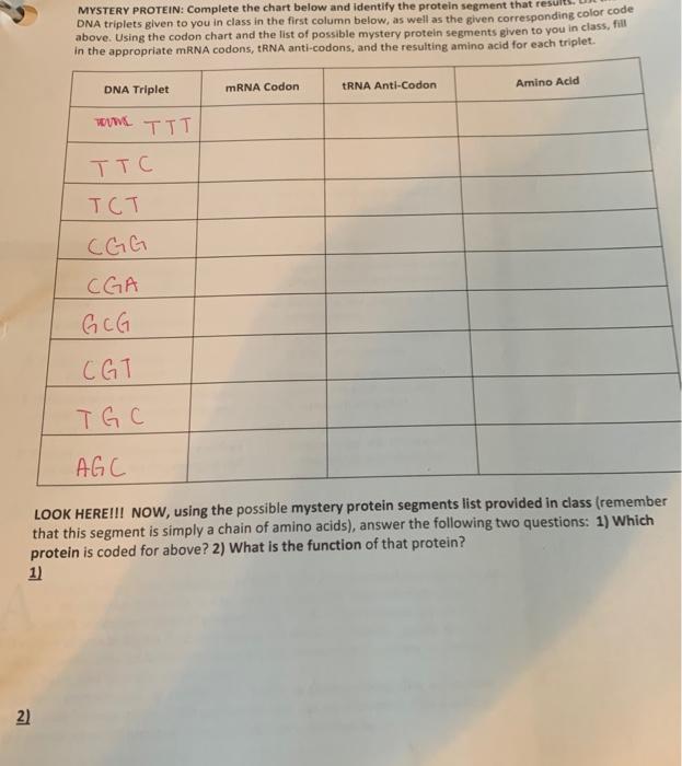 Solved MYSTERY PROTEIN: Complete the chart below and | Chegg.com