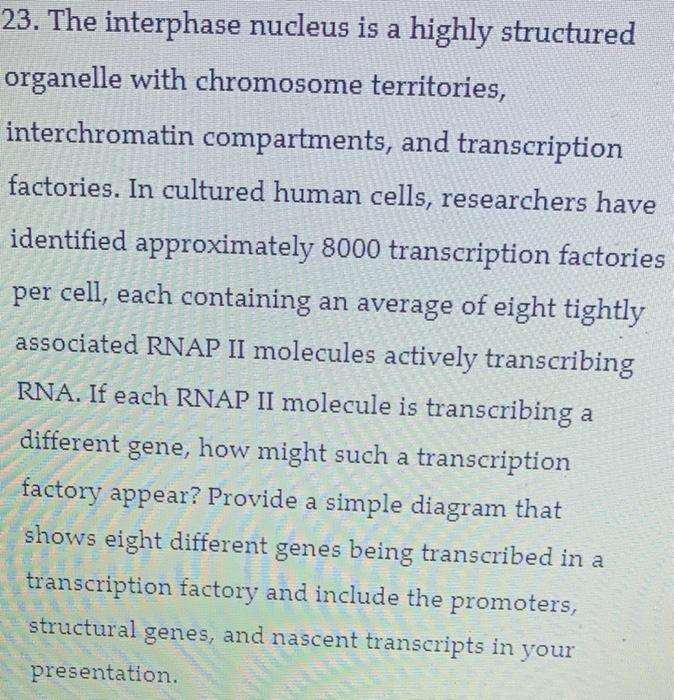 Solved 23. The interphase nucleus is a highly structured | Chegg.com