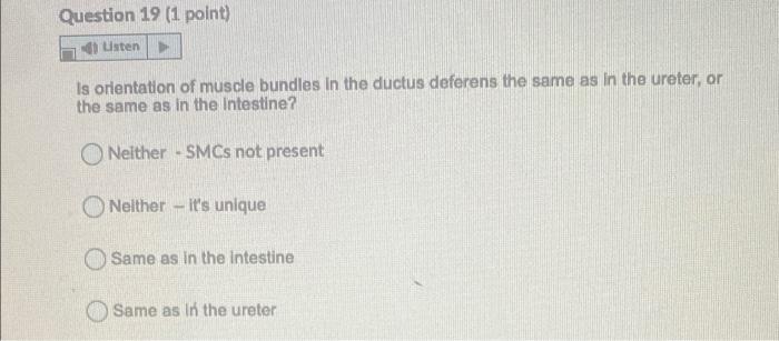Solved Question 3 (1 point) Usten How many different | Chegg.com