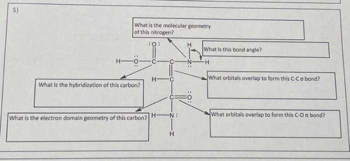 5) What is the molecular geometry of this nitrogen? | Chegg.com