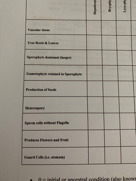 Complete this summary table to reveal evolutionary | Chegg.com