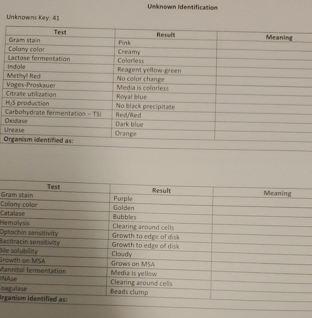 Solved Unknown Identification Unknowns Key: 41 Meaning Test | Chegg.com