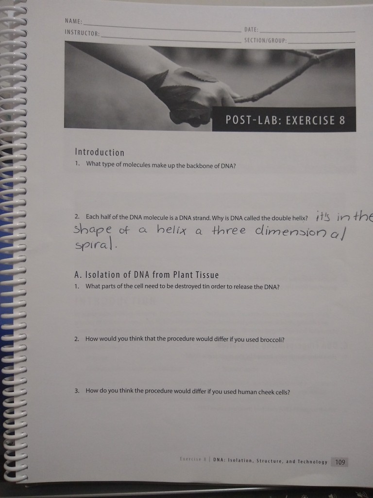 Solved NAME: INSTRUCTOR: DATE: SECTION/GROUP: UUUUUUUUUUUL | Chegg.com