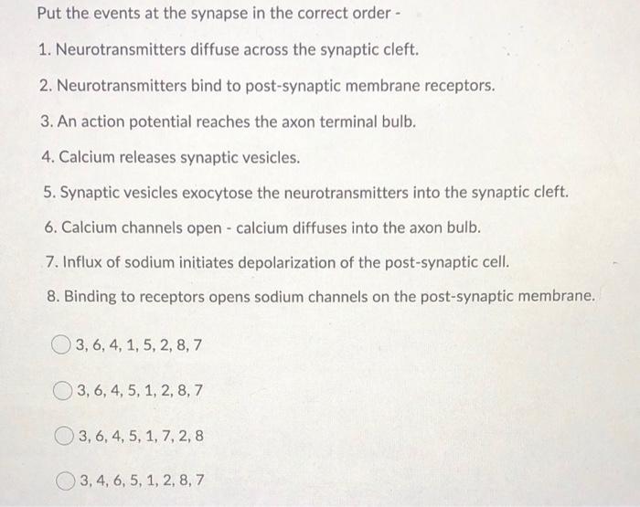 Solved Put the events at the synapse in the correct order- | Chegg.com