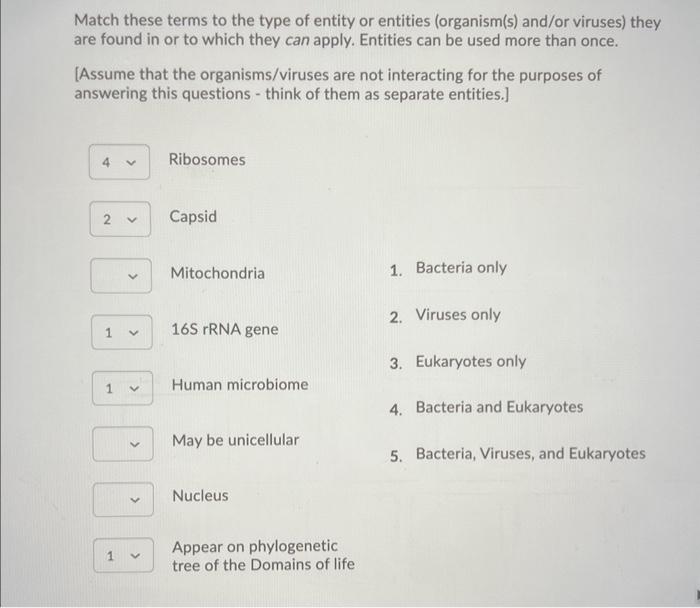 Solved Match these terms to the type of entity or entities | Chegg.com