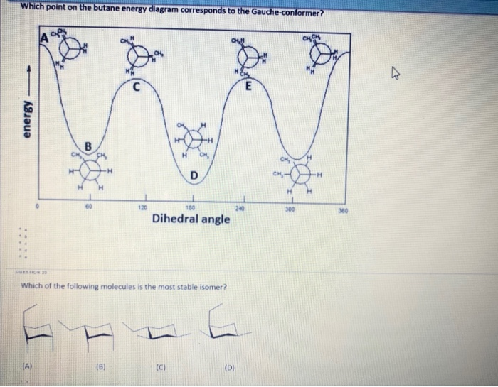 Solved Which point on the butane energy diagram corresponds | Chegg.com