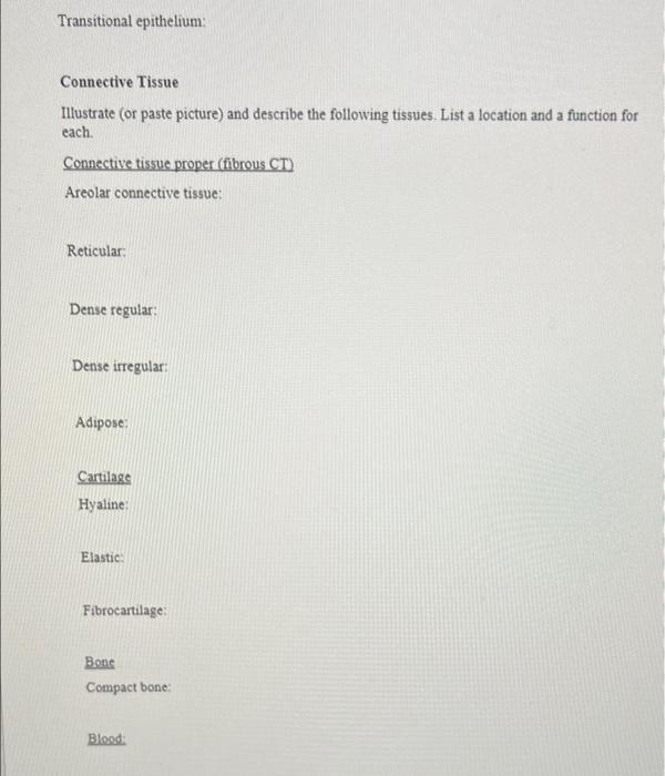 Solved Biol Sci 201 Tissue Lab Worksheet Name: Objectives | Chegg.com