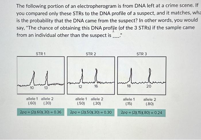 Solved The Following Portion Of An Electropherogram Is From