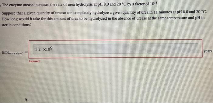 Solved The enzyme urease increases the rate of urea | Chegg.com