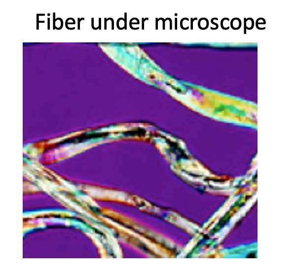 Solved Fiber Evidence:Fiber under microscopeBelow are photos | Chegg.com
