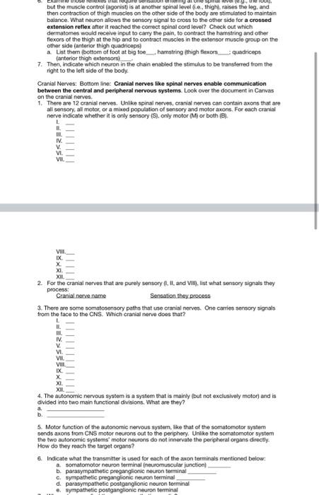 wobe Testere 9.00 but the muscle control (agonist) is | Chegg.com