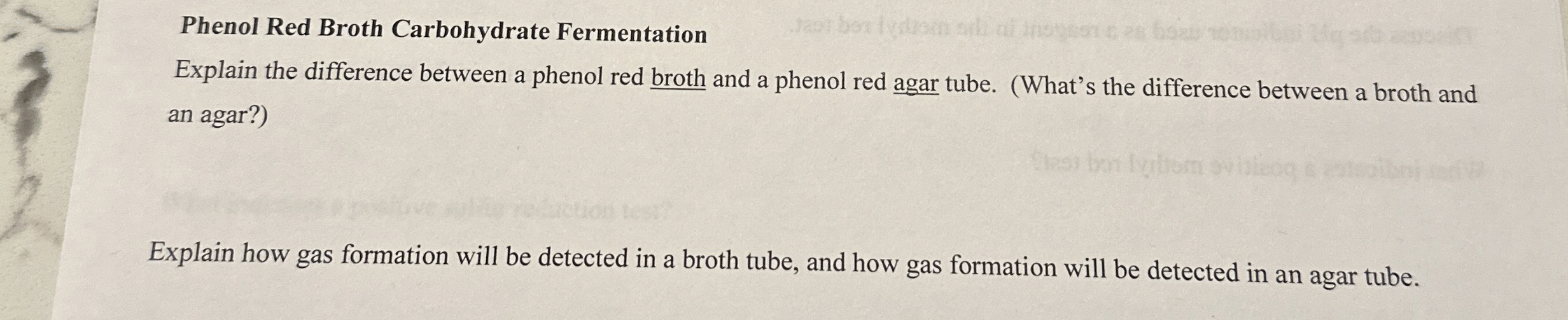 Solved Phenol Red Broth Carbohydrate FermentationExplain the | Chegg.com