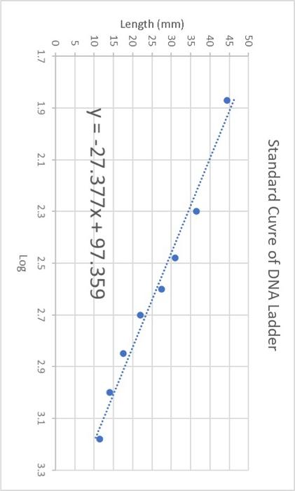 Solved Standard Cuvre of DNA Ladder | Chegg.com